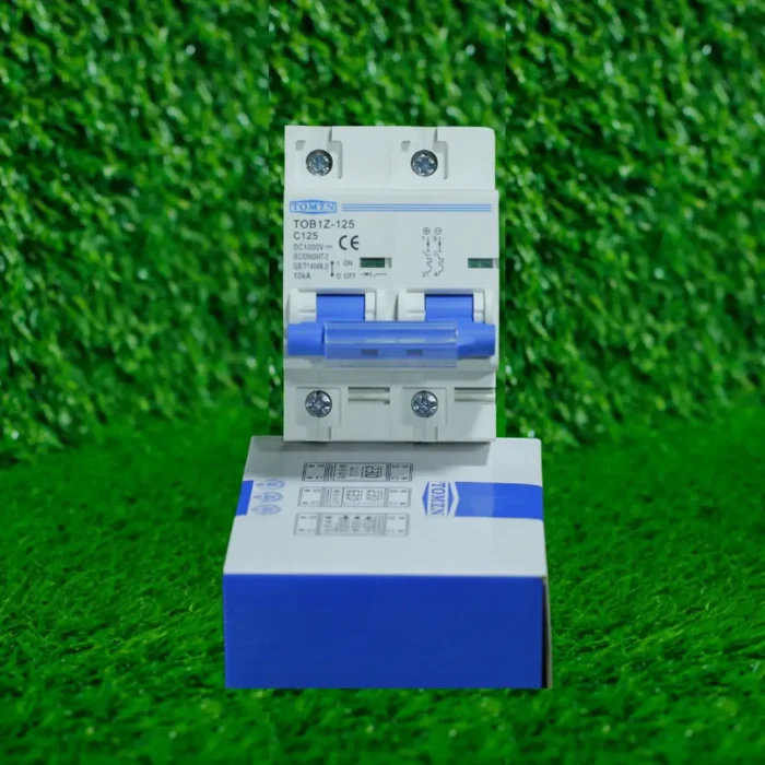 Tomzn 2P DC Circuit Breaker – 100A / 125A MCB | Heavy-Duty Protection ...